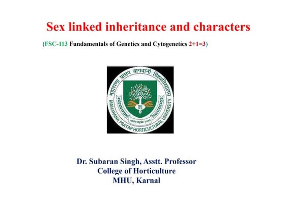 Sex determination - chromosomal theory of sex determination. | PPT