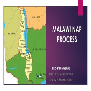 4c.2 Malawi NAP process | PDF
