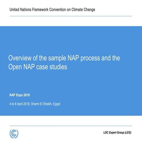 4c.1 Overview of the NAP process and the Open NAP case studies | PDF