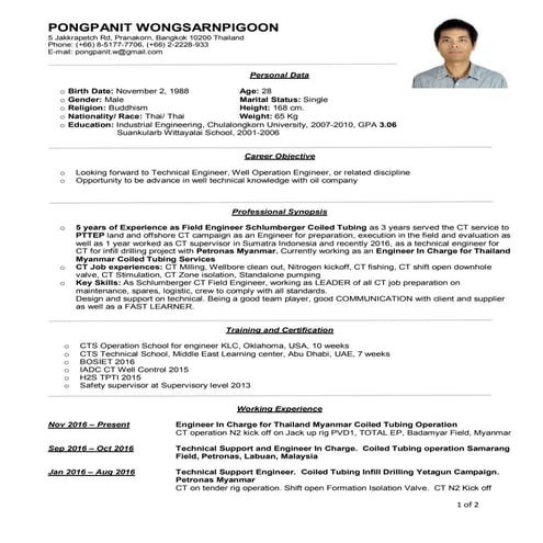 PONGPANIT Resume 2016 | PDF