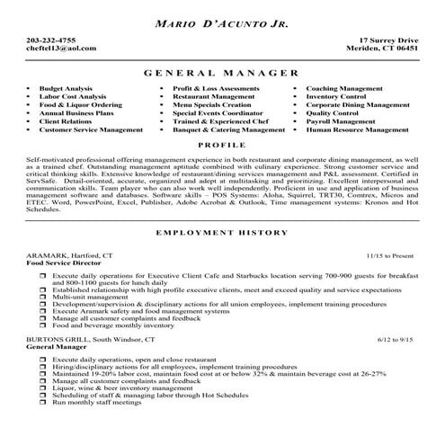 Mario Resume 2017 | PDF