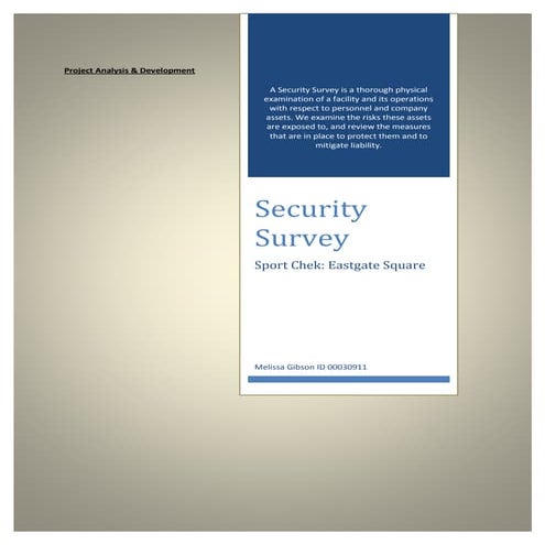 Security survey 2 | PDF