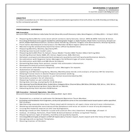Resume for MIS Executive | DOC