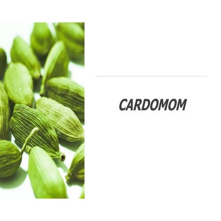 4 Cardamom AB.pdf