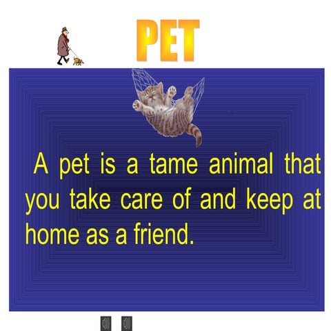 4 cats quiz | PPT