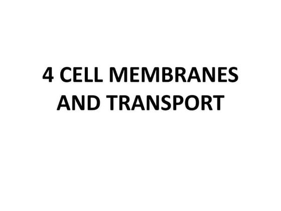 Transport in plants.pptx