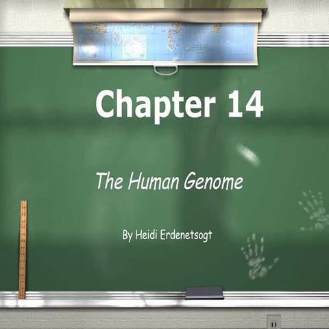 4chapter14 | PPT