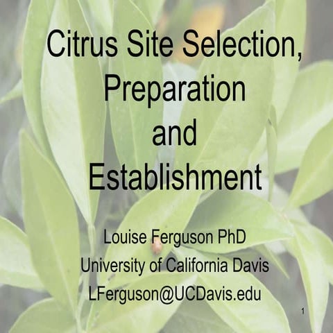 ORCHARD MANAGMENT | PDF
