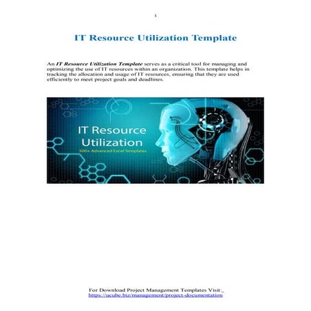 4 Components of IT Resource Utilization Template.pdf