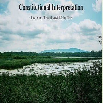 4 Constitutional Interpretatiosdcsdcdscscn 2025.pptx