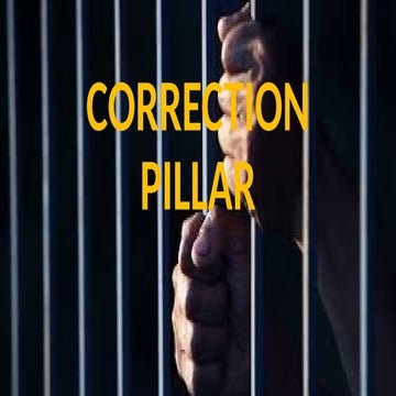 CA1-REVIEWER-I.pdf for institution correction | PDF