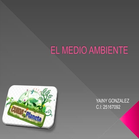 4 corte el medio ambiente sección A3TA | PPTX