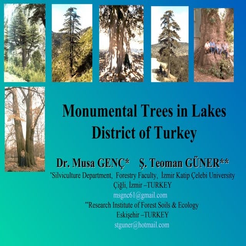 4 course 3.2 Monumental Trees in Lakes District of Turkiye | PPT