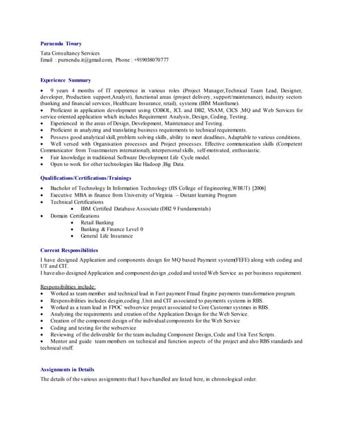 Steven S resume II | PDF