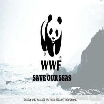 Save Our Seas | PDF