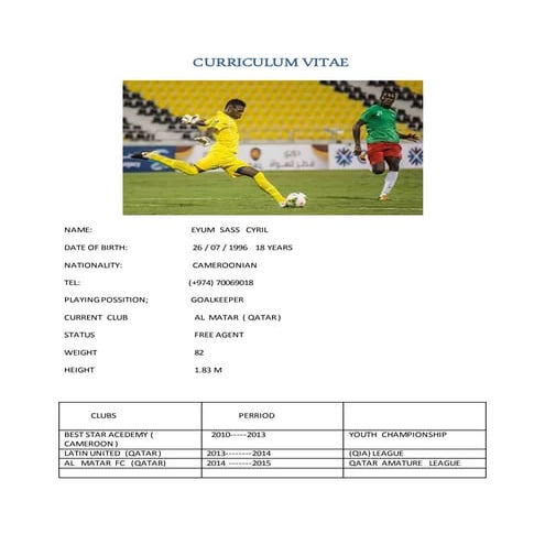 CURRICULUM VITAE nnn | PDF