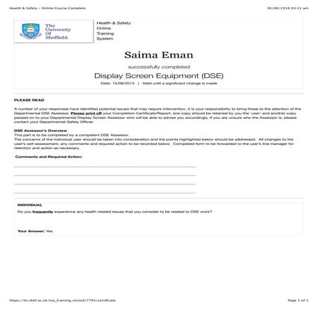 Display Screen Equipment Training | PDF
