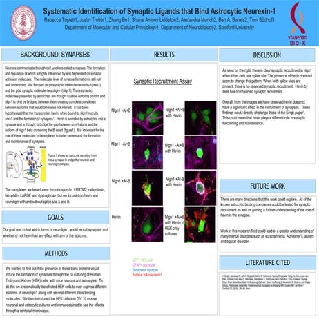 Bio-x poster presentation | PPT