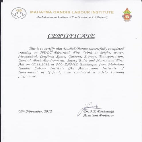 safety engineer certificate | PDF