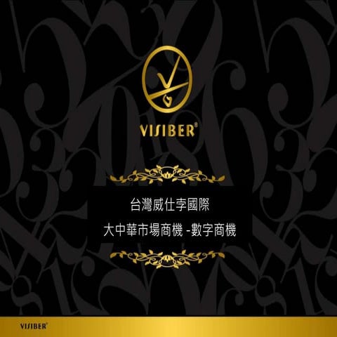 VISIBER業務制度與大中華市場商機暨全球商機 v6 | PPT
