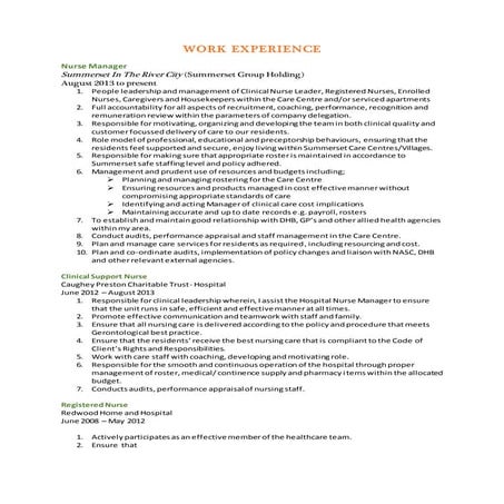 WORK EXPERIENCE | PDF