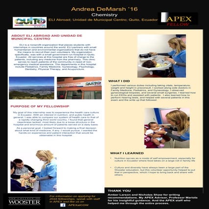 Poster for APEX | PDF