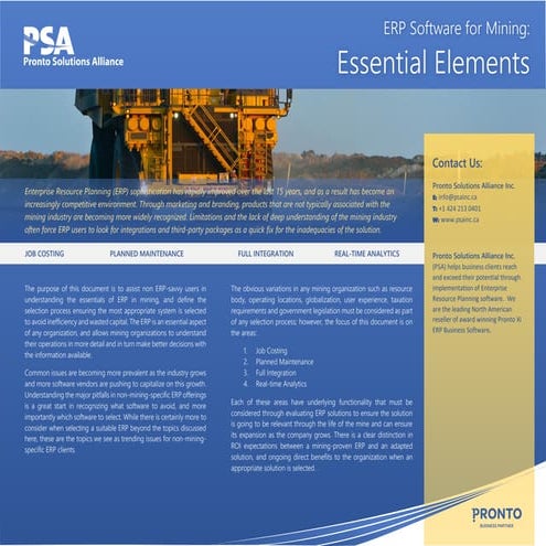 PSA WP - ERP Mining Essentials | PDF