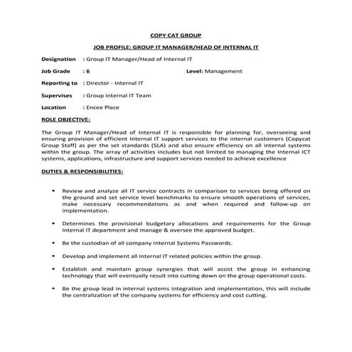 Group IT Manager JD | PDF