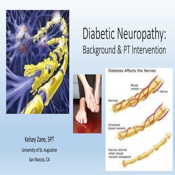 12 15 14 Version Diabetic Neuropathy | PPT