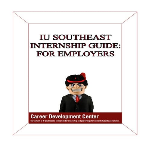 IUS Employer Internship Guide | PDF