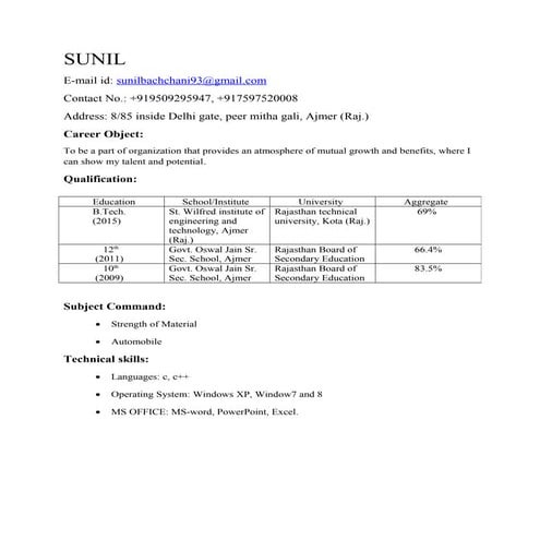My Resume | PDF