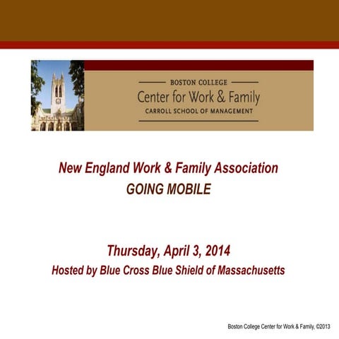 BCBSA Requirements: Final Presentation | PDF