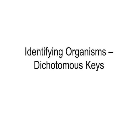 5.00 dichotomous keys 2010 | PPT