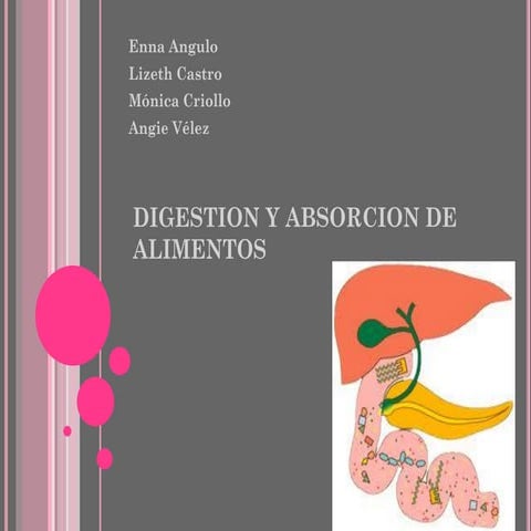 digestion y absorcion de alimento_ppt | PDF