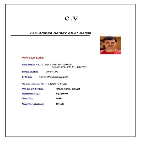 Mostafa Hosny Elsaid C.V | DOCX