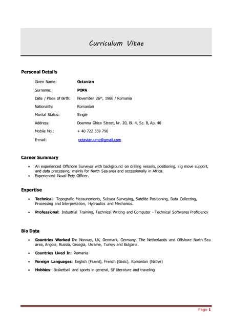 Cv, ivan keljevic | PDF