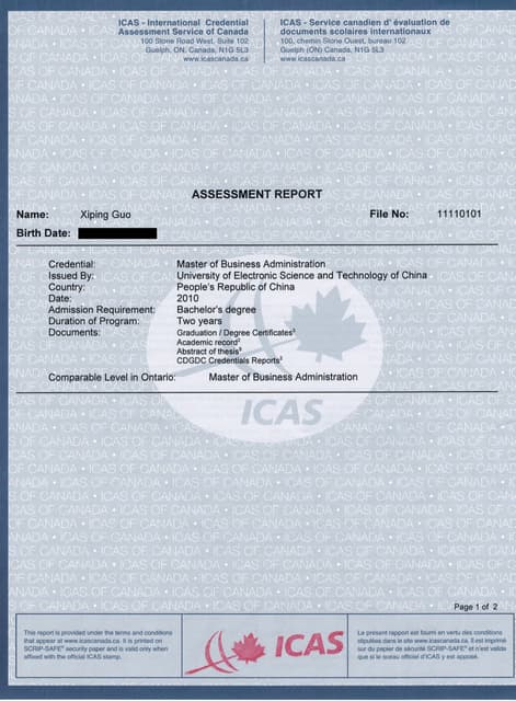 ICAS Degree Assessment Report | PDF