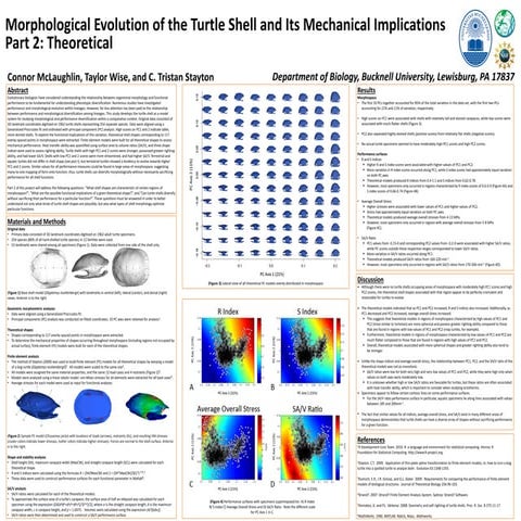 Theoretical Poster (Connor)_F | PPT