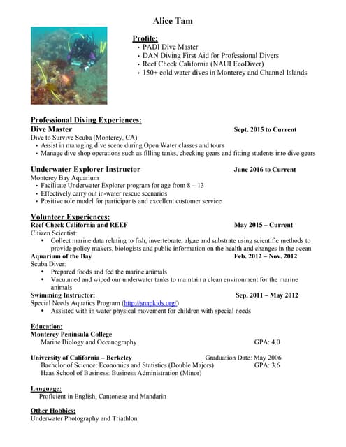 Commercial Diving Resume | PDF