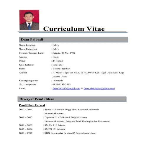 CV Fakry | PDF