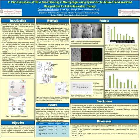 MS Poster | PDF