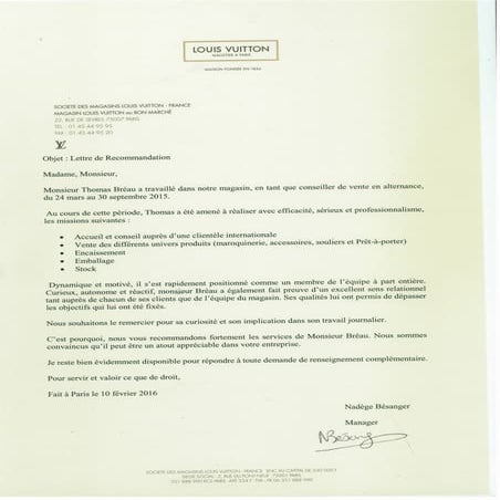 Professional reference Louis Vuitton | PDF