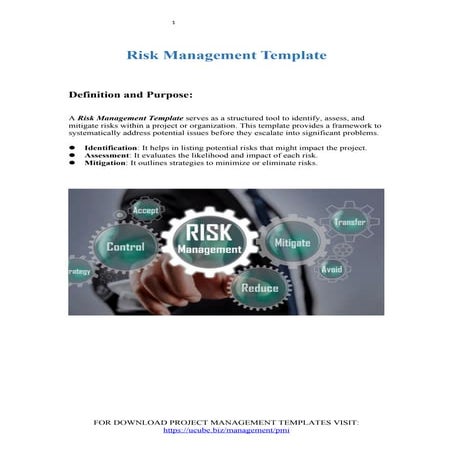 4 Easy Steps to Implement Risk Management Template.docx