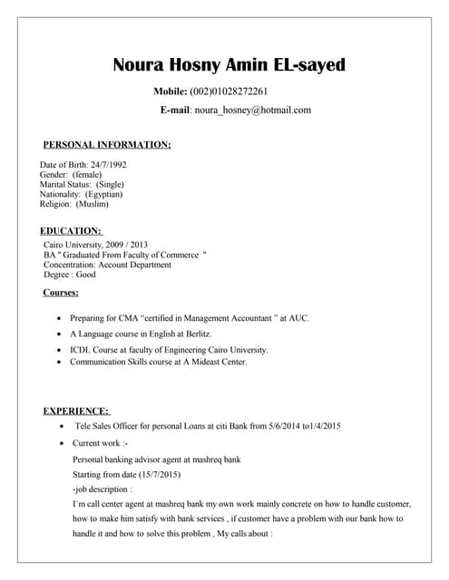 cv ziad | PDF