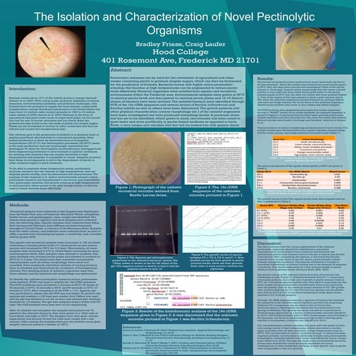 Bacterial Cellulose presentation | PPTX
