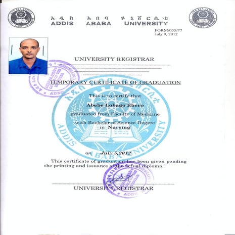 Abebe Degree- Trans-recom | PDF