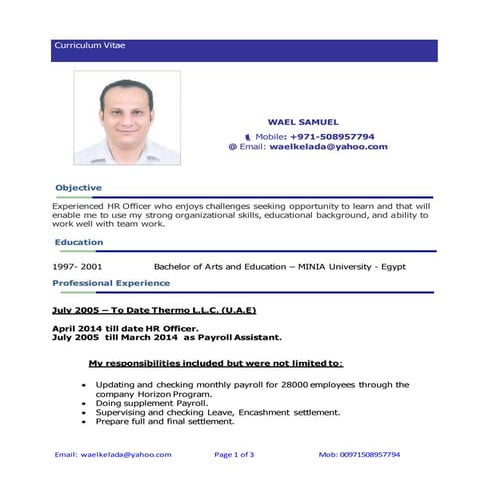 Curriculum Vitae wael | DOCX | Human Resources | Business