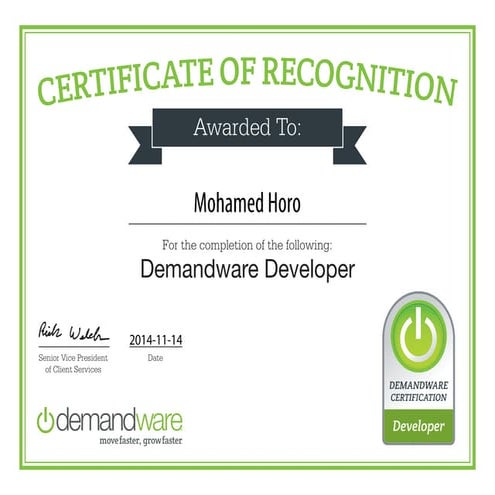 Mohamed Horo CIP Developer Certificate | PDF