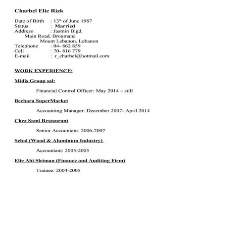Charbel Rizk -CV | DOC