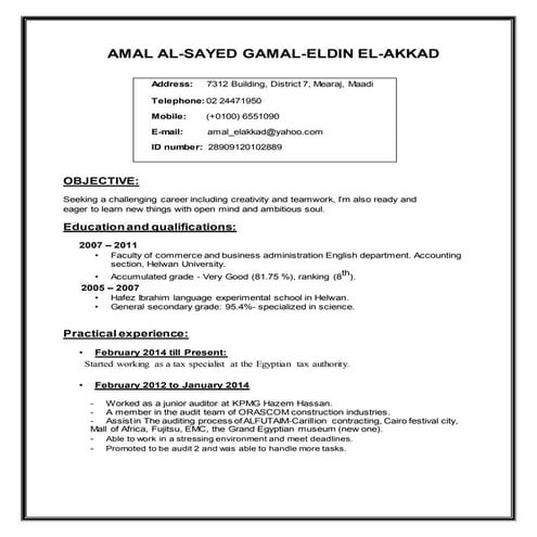Amal CV | PDF